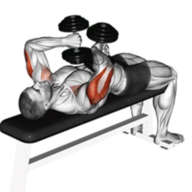 Tate Press by 𝔻𝕖𝕤𝕖𝕣𝕥 𝔽𝕠𝕩🦊 🌟 - Exercise How-to - Skimble