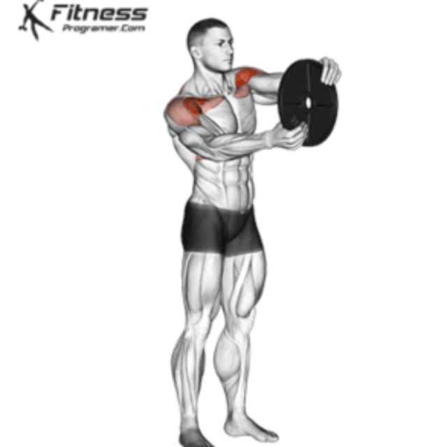 Round Arm Plate Raises (Circular Movement From Left To Right & Back) by ...