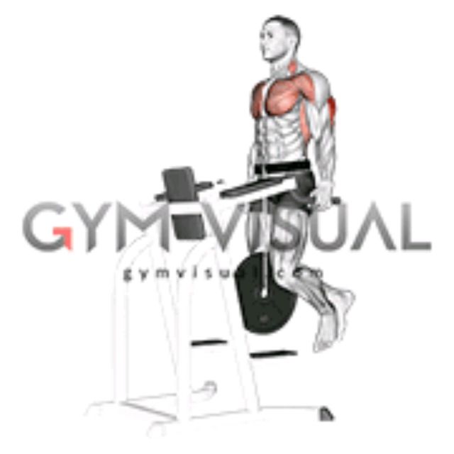 Weight Tricep Dips by Richard Terry Jr - Exercise How-to - Skimble