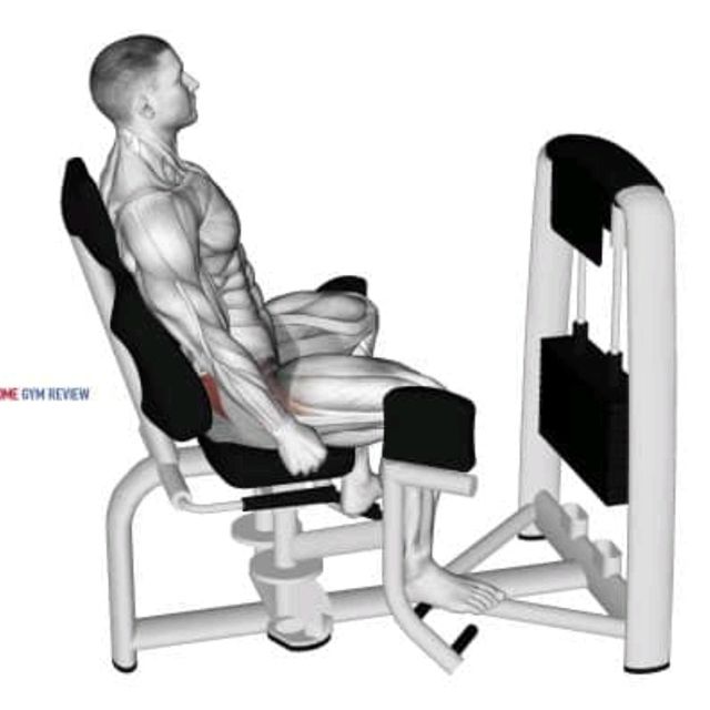 Abductor: Outter Thigh by Richard Terry Jr - Exercise How-to - Skimble