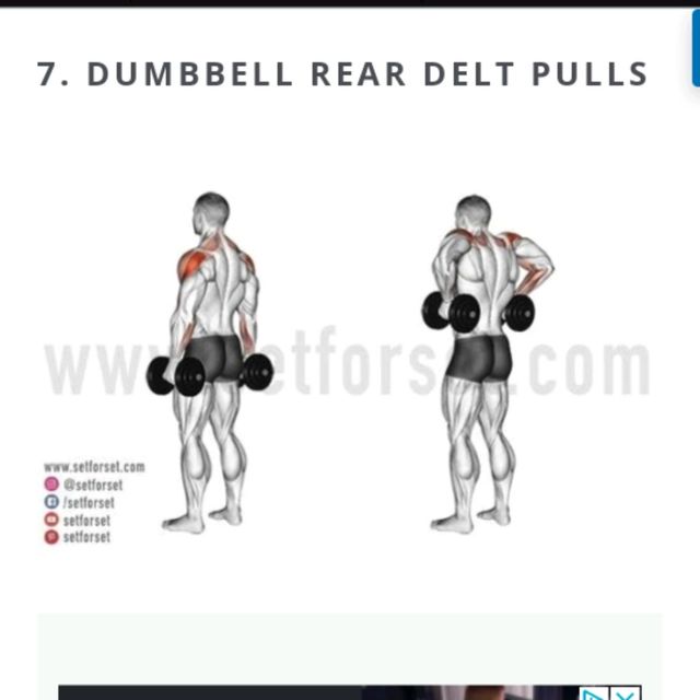 Rear Delt Pulls by Jake Perry - Exercise How-to - Skimble
