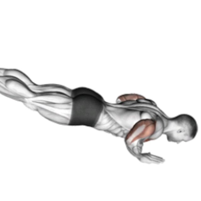 Decline Push Ups by Richard Terry Jr - Exercise How-to - Skimble