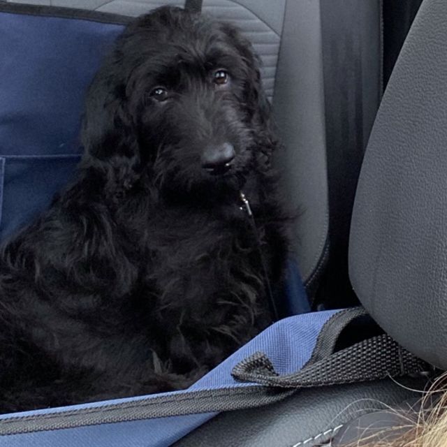 Alternating Lunge Forward Tap Weight Down N Front Of Foot by Melissa L ...