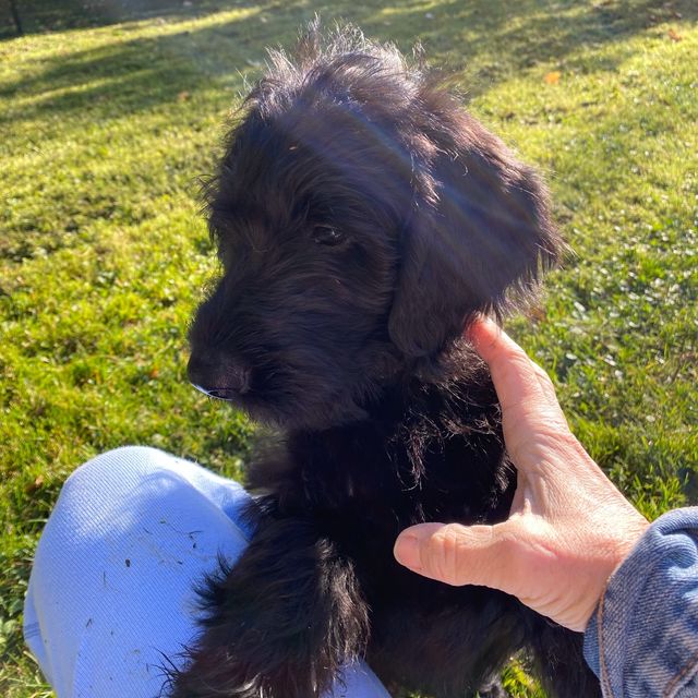 Alternating Lunge Forward Tap Weight Down N Front Of Foot by Melissa L ...