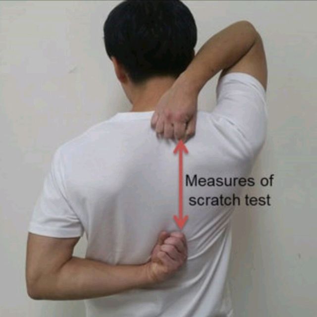 Back scratch by Susan H. - Exercise How-to - Skimble