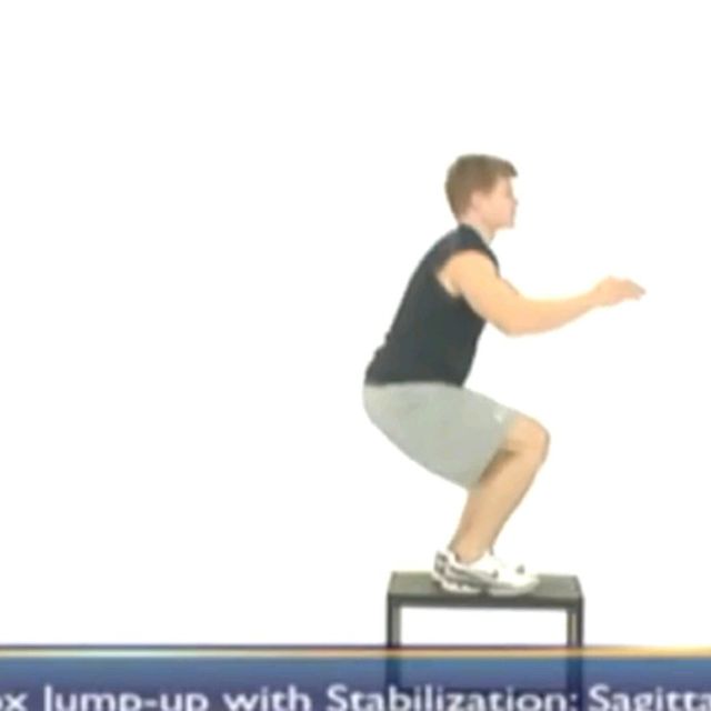 Box Jump With Stabilization Sagittal Plane by Myint H. - Exercise How ...