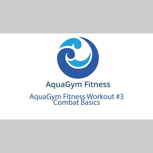 Aqua Combat Basics - Water fitness - Free Full Body Workout by Marize D ...