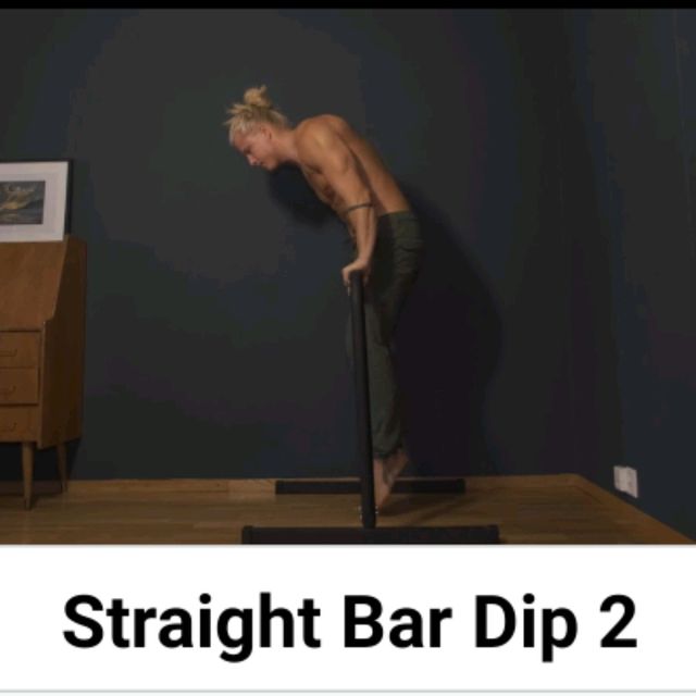 Straight Bar Dip by Alex 🌊. - Exercise How-to - Skimble