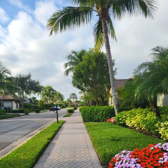 Walk Briskly. by 𝔻𝕖𝕤𝕖𝕣𝕥 𝔽𝕠𝕩🦊 🌟 - Exercise How-to - Skimble