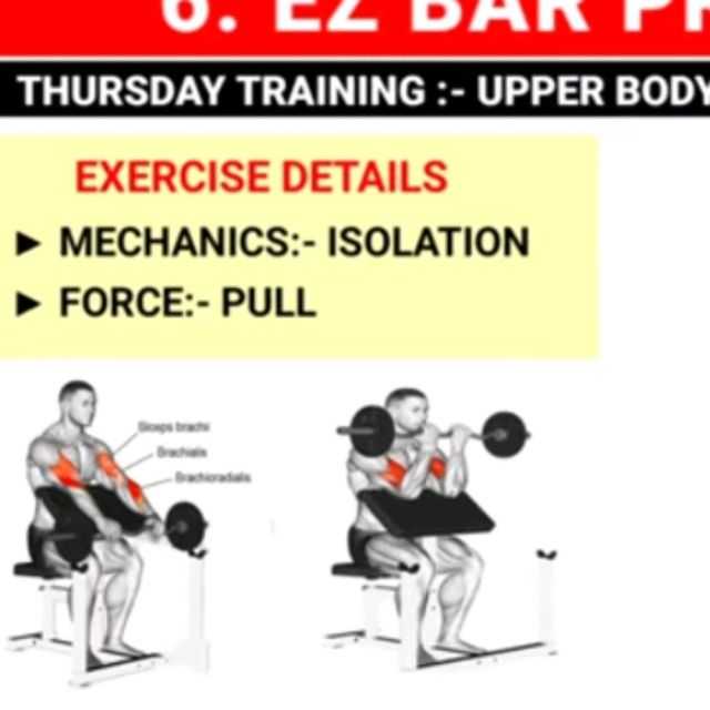Ez Bar Preacher Curl by Imy F. - Exercise How-to - Skimble