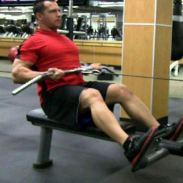Seated Reverse Grip Cable Row by 𝔻𝕖𝕤𝕖𝕣𝕥 𝔽𝕠𝕩🦊 🌟 - Exercise How-to - Skimble
