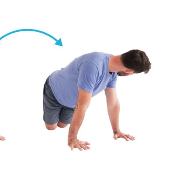 Wagging The Tail by Anne B. - Exercise How-to - Skimble