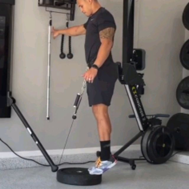 Cable Calf Raises On Weight Plate por 𝔻𝕖𝕤𝕖𝕣𝕥 𝔽𝕠𝕩🦊 🌟 - Ejercicio Cómo ...