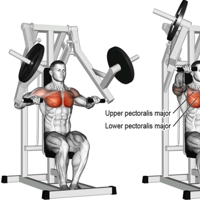 Plate Loaded Chest Press by Richard Terry Jr - Exercise How-to - Skimble