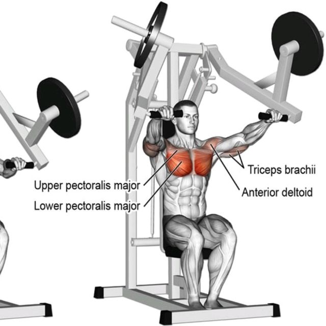 Plate Loaded Chest Press by Richard Terry Jr - Exercise How-to - Skimble