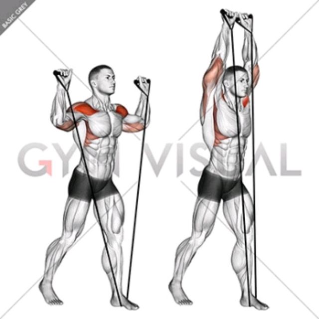Shoulder Press by Richard Terry Jr - Exercise How-to - Skimble