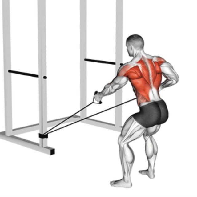 ALTERNATING LOW ROW WITH TWIST by Marie Ligay - Exercise How-to - Skimble