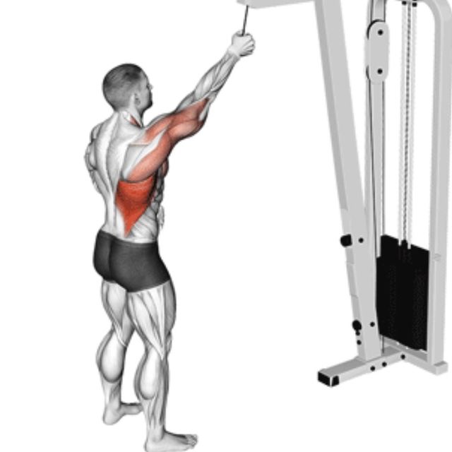 Twist Cable Row by Jdan Bit - Exercise How-to - Skimble