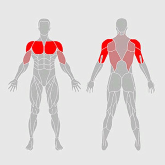 Full Upper Body Starter - Free Upper Body Workout by Markcellous W ...