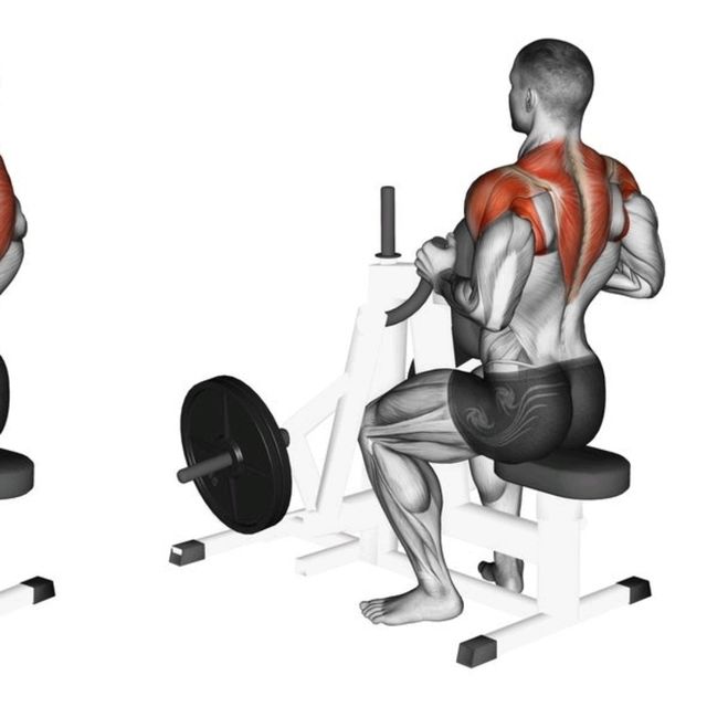 Plate Loaded Rows by Richard Terry Jr - Exercise How-to - Skimble