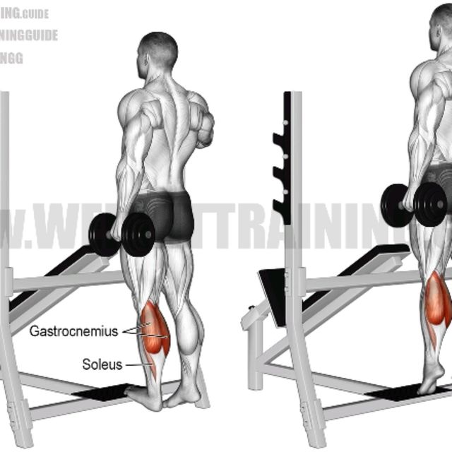 Dumbbell Calf Raises by Titus S. - Exercise How-to - Skimble