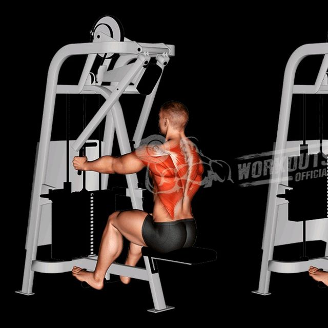 Seated Machine Row by Richard Terry Jr - Exercise How-to - Skimble