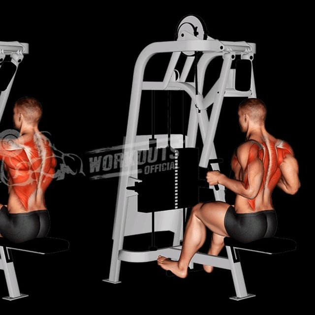 Seated Machine Row by Richard Terry Jr - Exercise How-to - Skimble