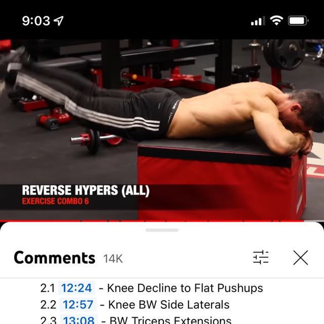 Reverse Hypers by Rabih Haddad - Exercise How-to - Skimble