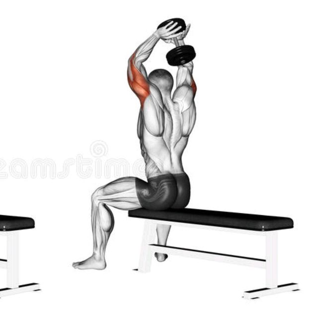 Seated Dumbbell Tricep Extension by Richard Terry Jr - Exercise How-to ...