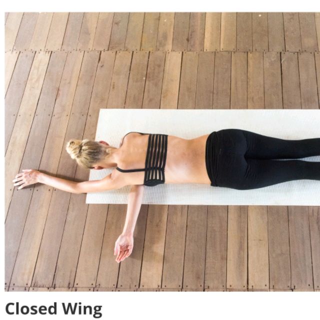 Closed Wing by 𝔻𝕖𝕤𝕖𝕣𝕥 𝔽𝕠𝕩🦊 🌟 - Exercise How-to - Skimble