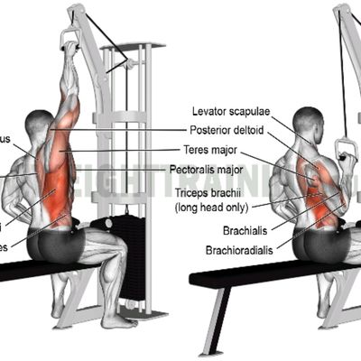 Curl Poulie Unilatéral by Yvan S. - Comment faire de l'exercice - Skimble