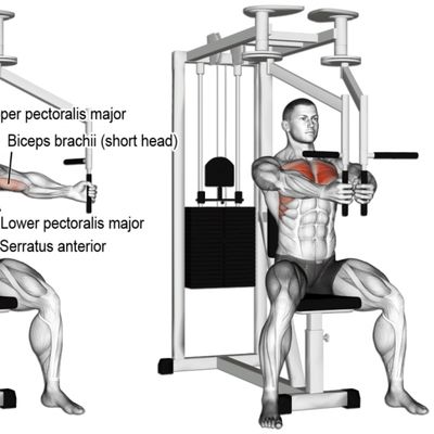 Leg Curl by Yvan S. - Comment faire de l'exercice - Skimble