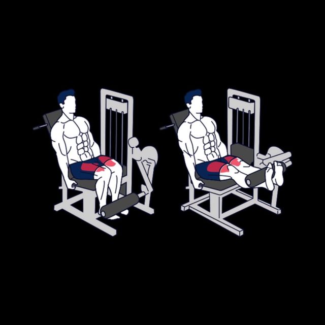 Leg Extension by Yvan S. - Comment faire de l'exercice - Skimble