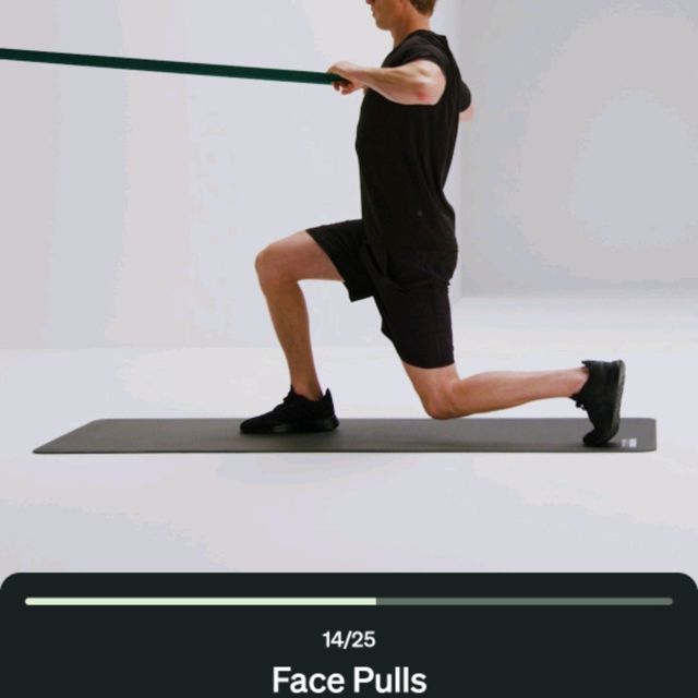 Face Pulls por Rajeswari D. - Ejercicio Cómo hacerlo - Skimble