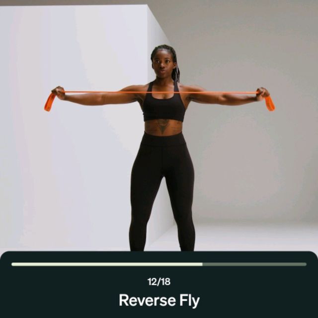 Reverse Fly With Band por Rajeswari D. - Ejercicio Cómo hacerlo - Skimble