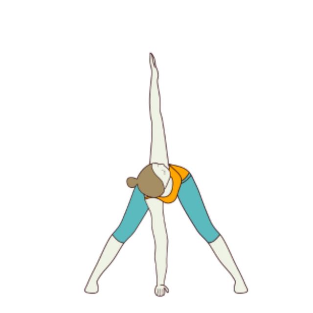 Wide Leg Twists Slow by 𝔻𝕖𝕤𝕖𝕣𝕥 𝔽𝕠𝕩🦊 🌟 - Exercise How-to - Skimble