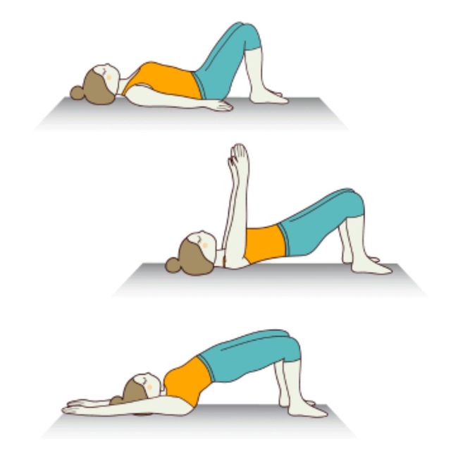 Bridge Arm Flow1 by 𝔻𝕖𝕤𝕖𝕣𝕥 𝔽𝕠𝕩🦊 🌟 - Exercise How-to - Skimble