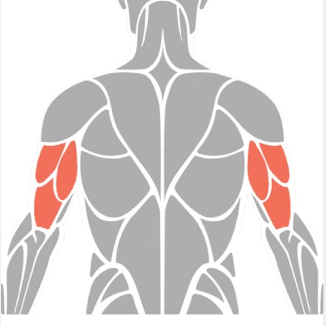 Triceps avec un haltère derrière la nuque by David R. - Comment faire ...