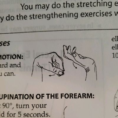 Wrist Extension Exercise by Jake Penner - Exercise How-to - Skimble