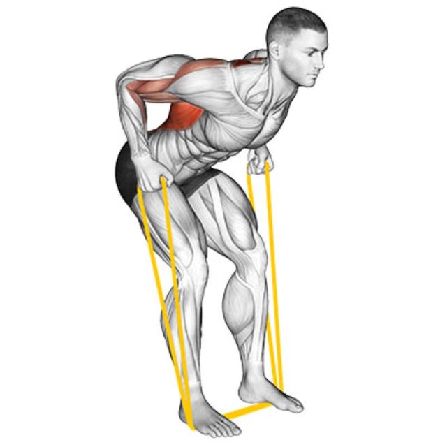 Resistance Band Bent Over Row by Richard Terry Jr - Exercise How-to ...