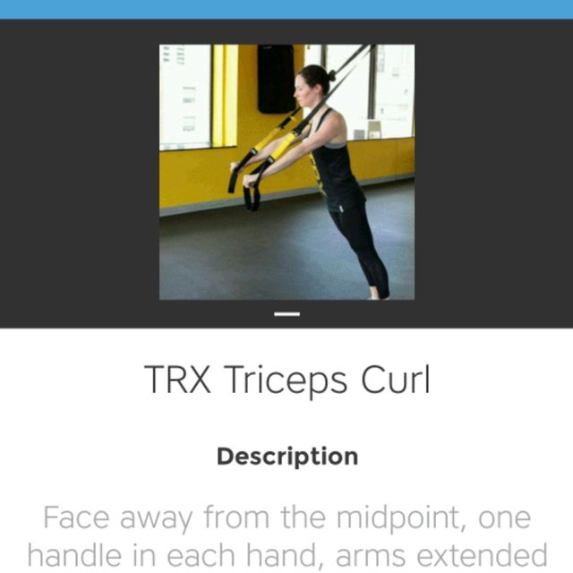 Trx Tricep Curls por Michael Lauritzen - Ejercicio Cómo hacerlo - Skimble