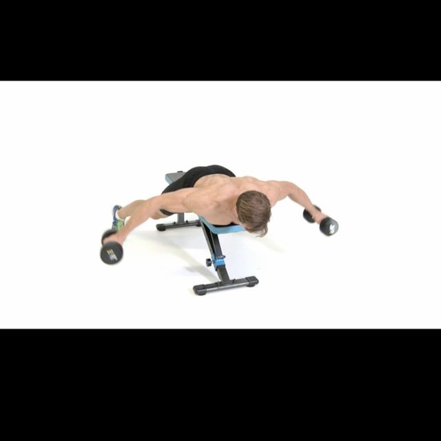 Lying Rear Delt Bench fly by Ryan R. - Exercise How-to - Skimble