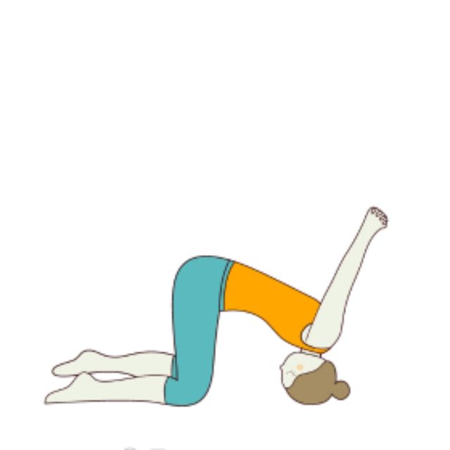 Bowing Mudra On Knees by 𝔻𝕖𝕤𝕖𝕣𝕥 𝔽𝕠𝕩🦊 🌟 - Exercise How-to - Skimble