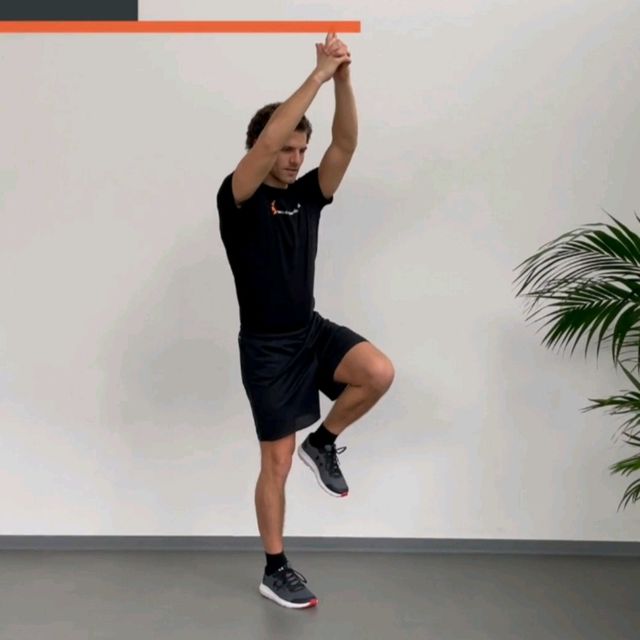 Diver staand (hamstring) por Karen L. - Ejercicio Cómo hacerlo - Skimble