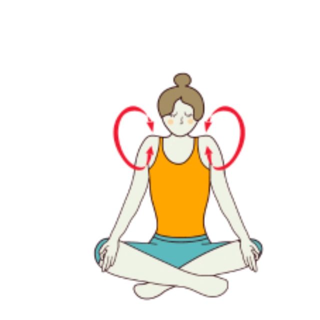 Seated Shoulder Rolls by 𝔻𝕖𝕤𝕖𝕣𝕥 𝔽𝕠𝕩🦊 🌟 - Exercise How-to - Skimble