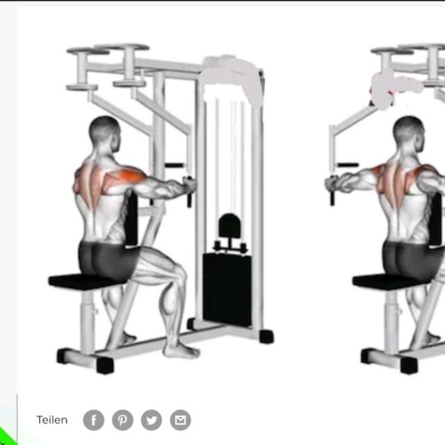 Delts Machine by Timon Jona Martin - Exercise How-to - Skimble