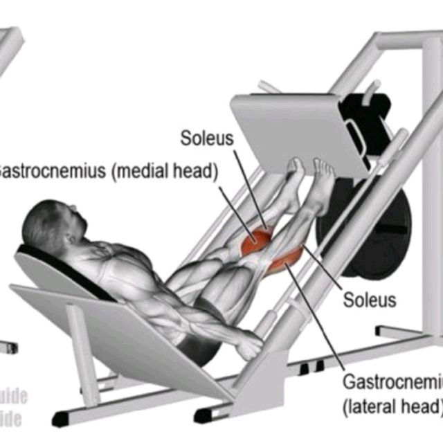 Calf Press by Daniel S. - Exercise How-to - Skimble