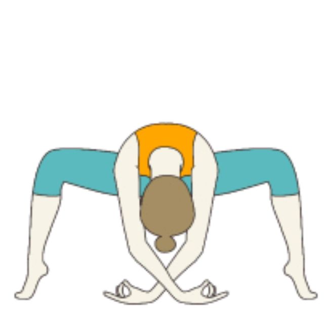 Spider Flow by 𝔻𝕖𝕤𝕖𝕣𝕥 𝔽𝕠𝕩🦊 🌟 - Exercise How-to - Skimble