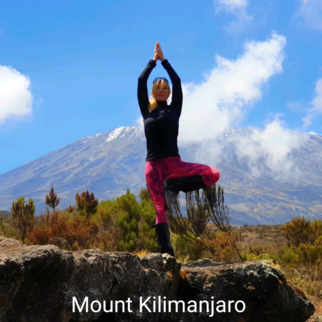 Free Flow Any Sequence Any Asana by 𝔻𝕖𝕤𝕖𝕣𝕥 𝔽𝕠𝕩🦊 🌟 - Exercise How-to ...