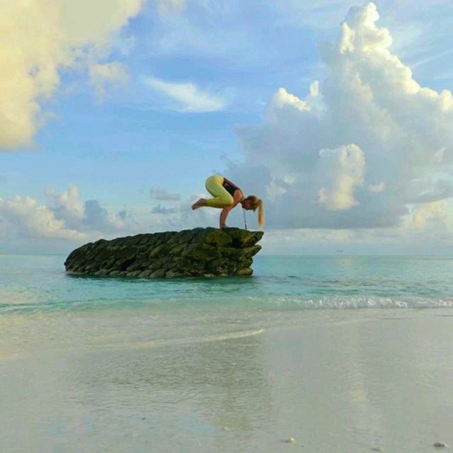 Free Flow Any Sequence Any Asana by 𝔻𝕖𝕤𝕖𝕣𝕥 𝔽𝕠𝕩🦊 🌟 - Exercise How-to ...